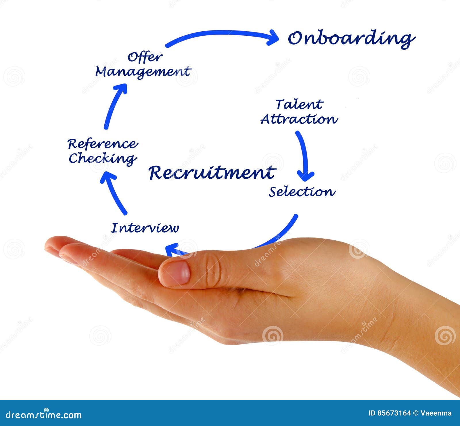 Recruitment Process Diagram Stock Photography | CartoonDealer.com ...