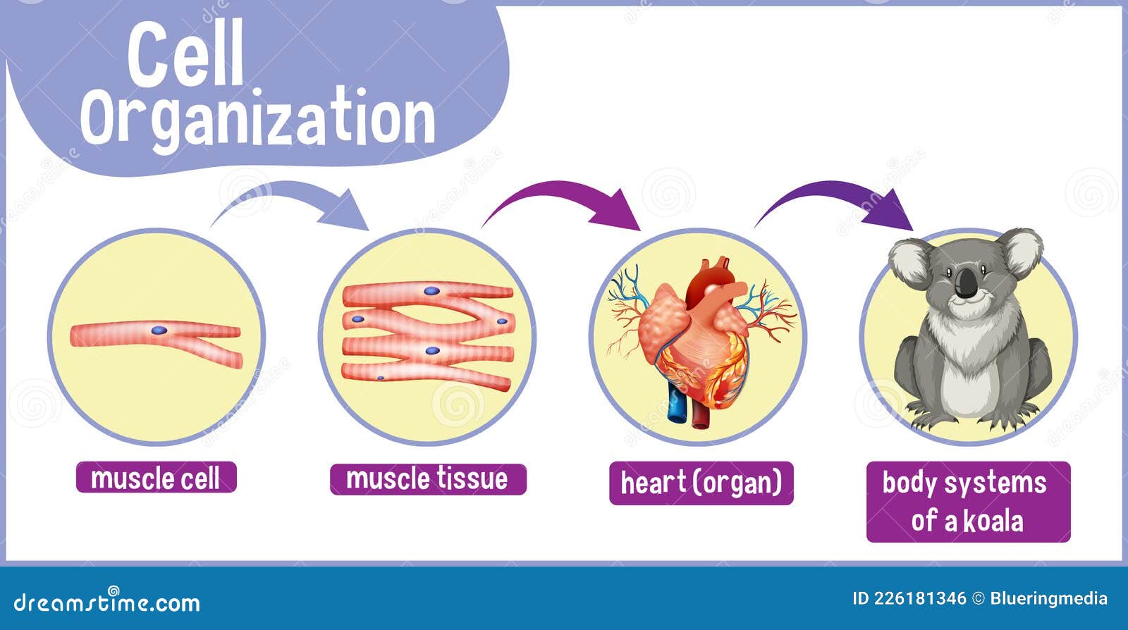 Biological Organization And Ecosystem Flat Vector Illustration Isolated ... Biological Organization And Ecosystem Flat Vector Illustration Isolated ...