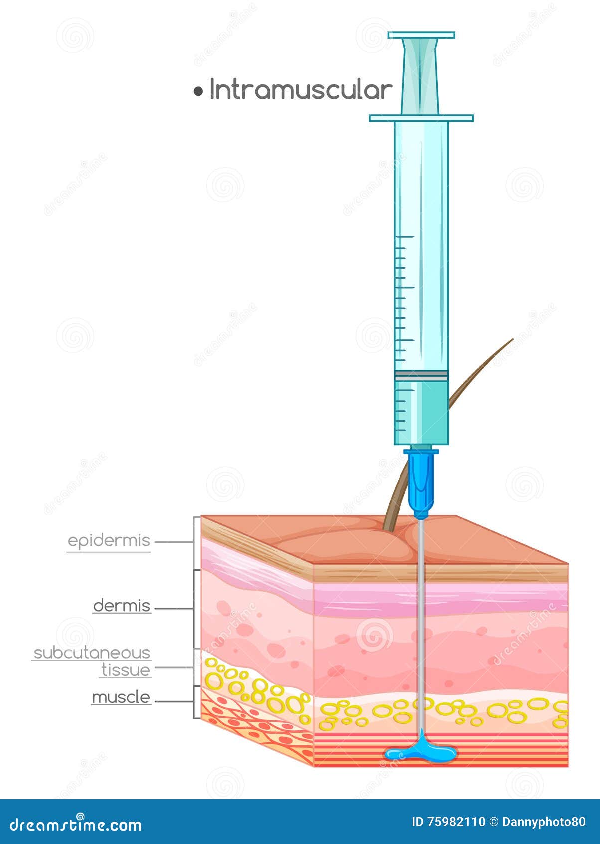 Intramuscular Injection, Prescription, Dentist, Blood Pressure ...