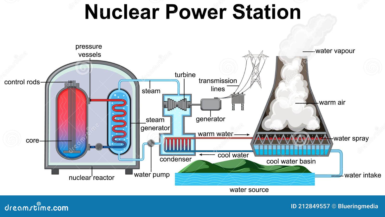 Nuclear Diagram. Education Infographic. Vector Design. | CartoonDealer ...
