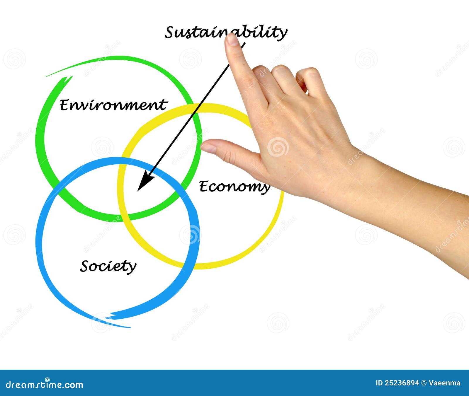 Diagram of sustainability stock photo. Image of explanation - 25236894
