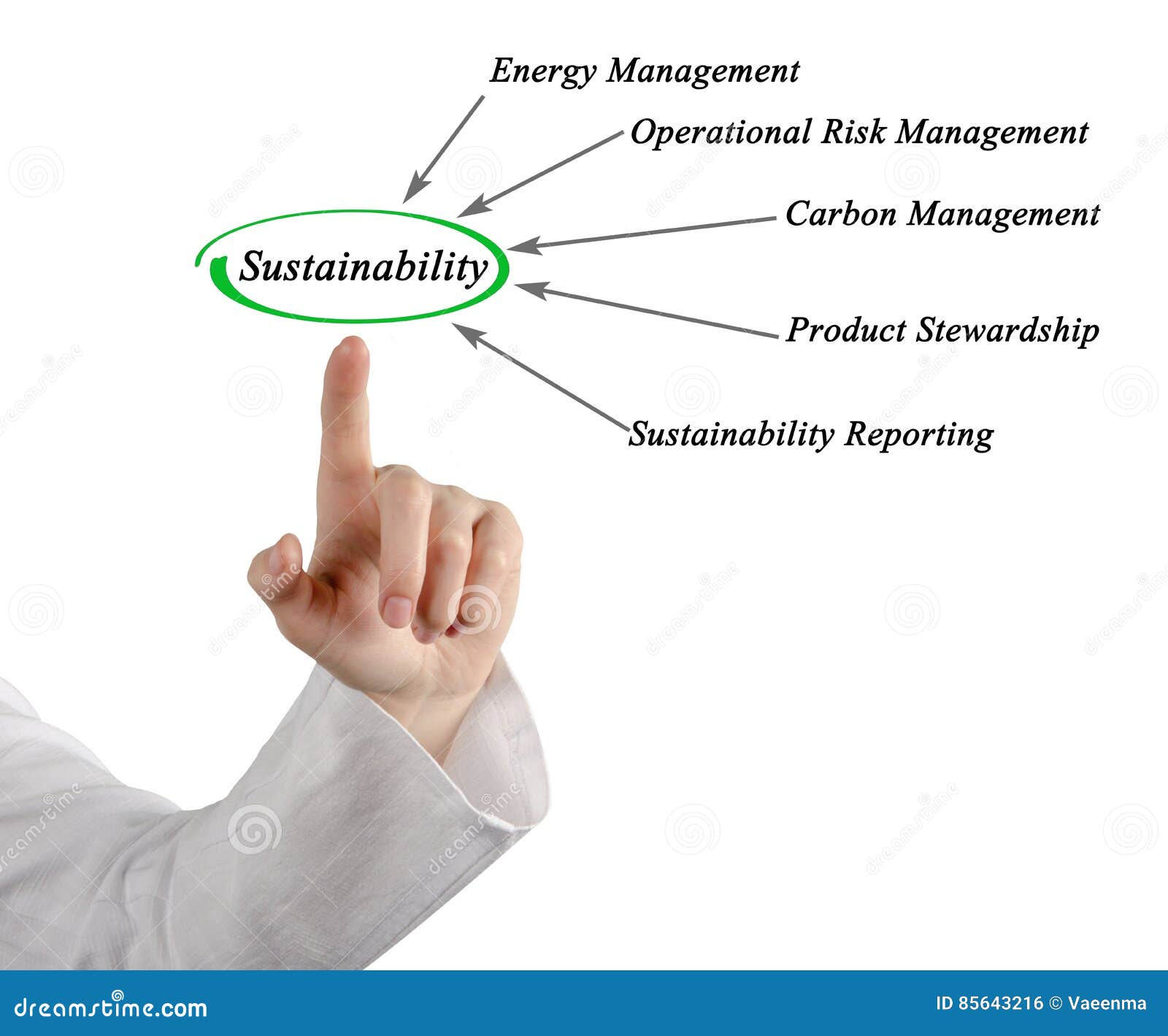 Diagram of sustainability stock photo. Image of presenting - 85643216