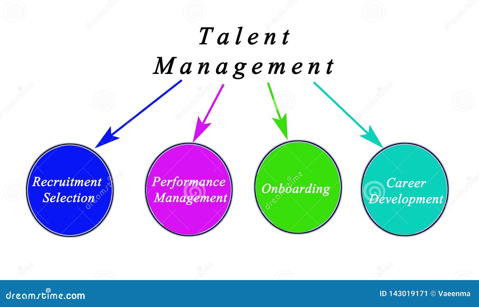 Diagram of Talent Management Stock Image - Image of selection ... Diagram of Talent Management Stock Image - Image of selection ...