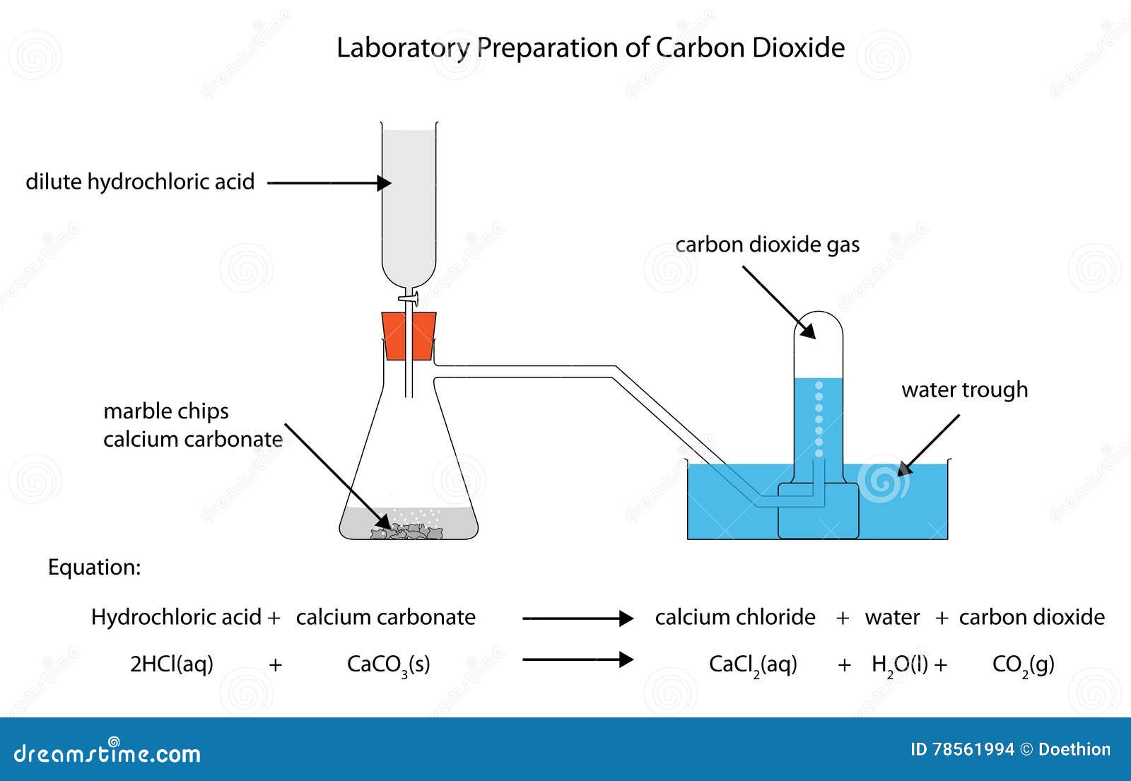 Diagram Van De Laboratoriumvoorbereiding Van Kooldioxide Stock ...