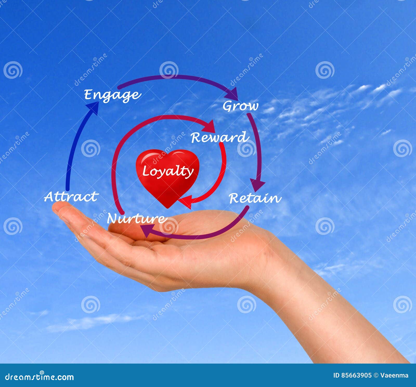 Diagram van loyaliteit stock afbeelding. Image of vrouw - 85663905