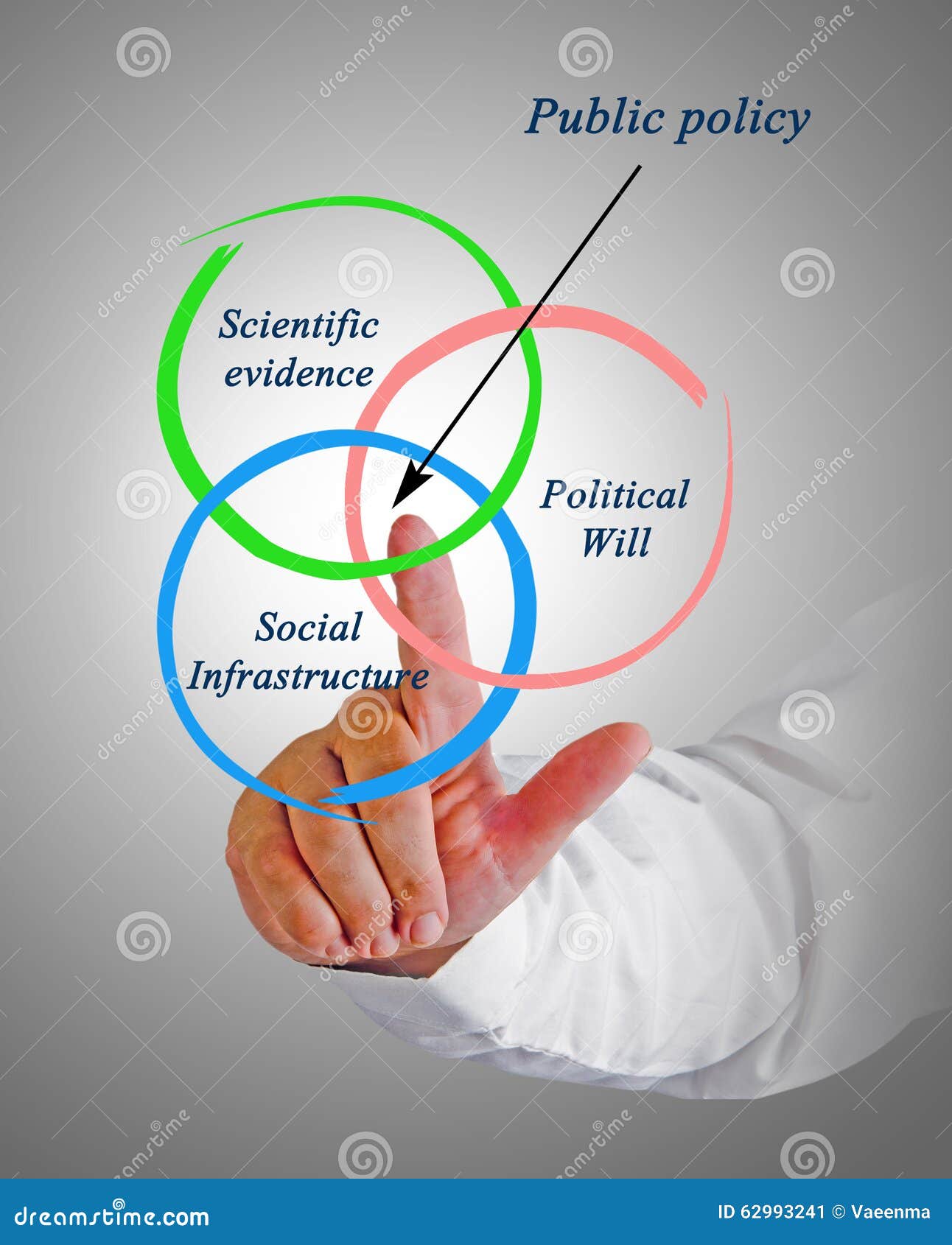 Diagram Van Openbaar Beleid Stock Afbeelding - Image of mannetje ...