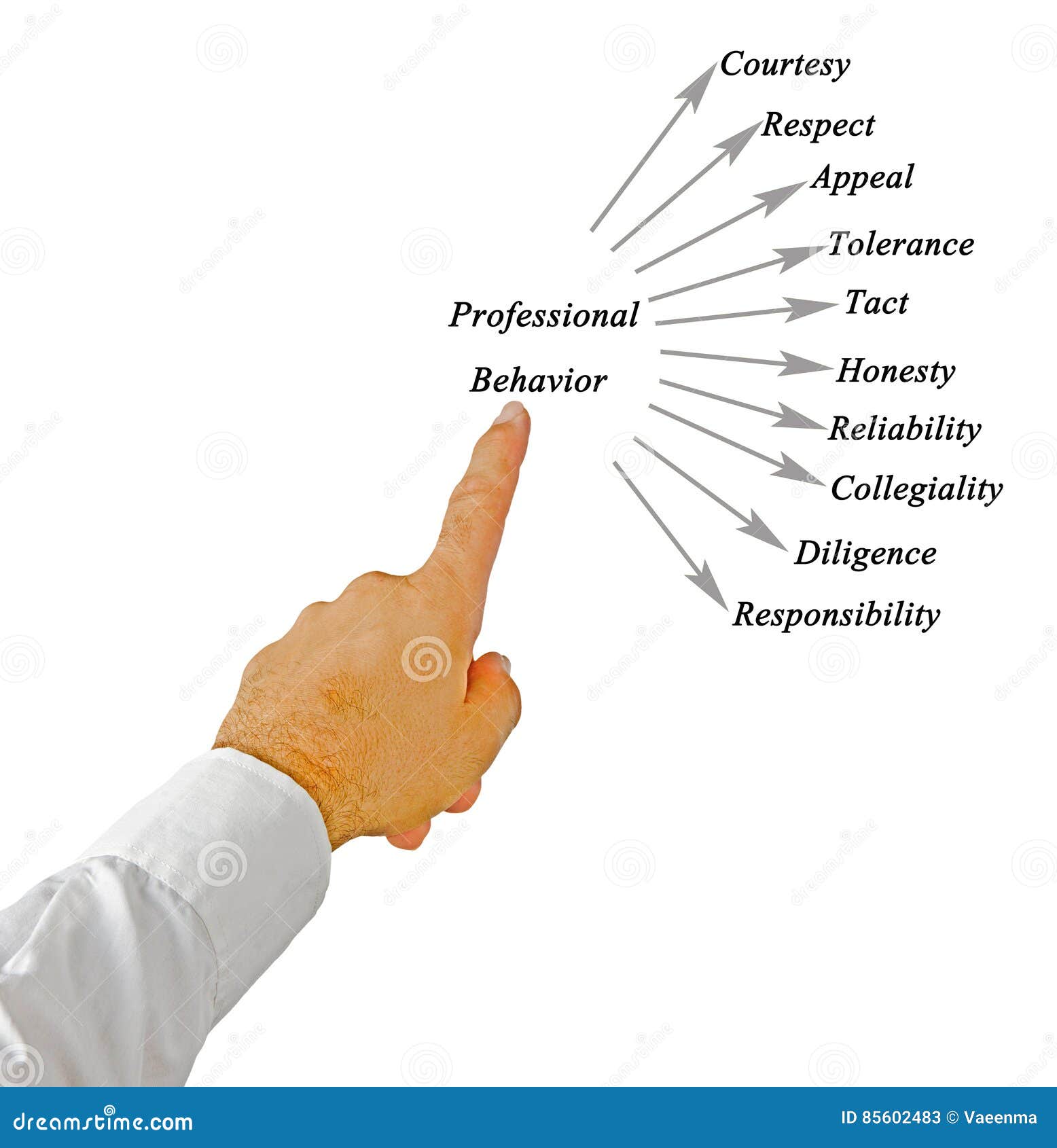 Diagram Van Professioneel Gedrag Stock Afbeelding - Image of virtueel ...