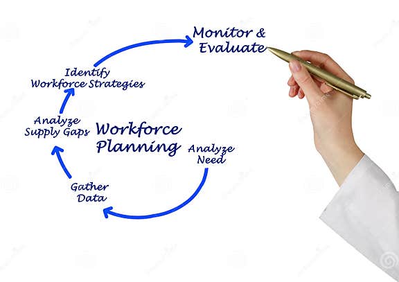 Diagram of Workforce Planning Stock Image - Image of force, supply ...