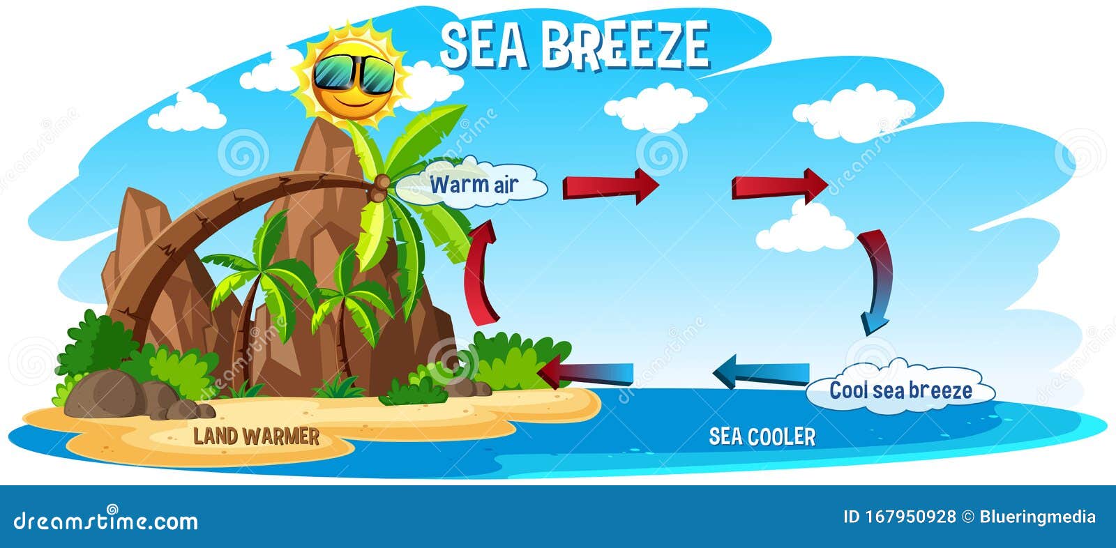 Diagrama De La Brisa Marina En El Océano Y La Tierra Ilustración Del