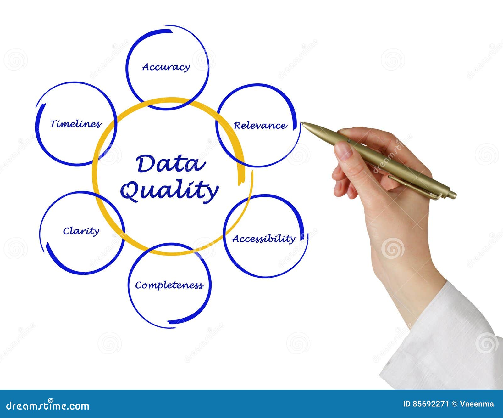 Diagrama De La Calidad De Los Datos Imagen de archivo - Imagen de ...