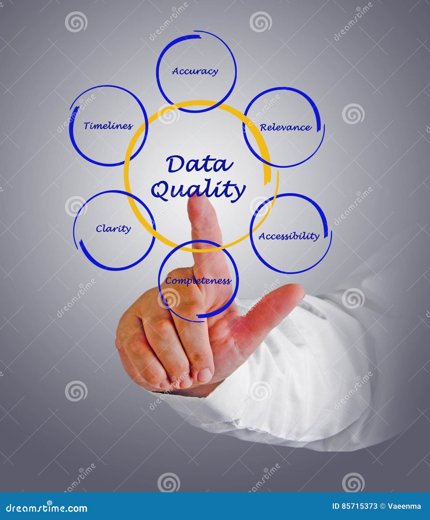 Diagrama De La Calidad De Los Datos Imagen de archivo - Imagen de datos ...