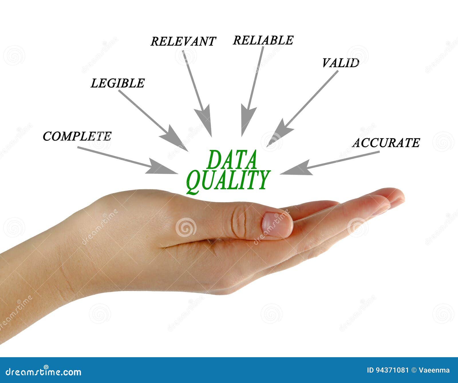Diagrama De La Calidad De Los Datos Imagen de archivo - Imagen de ...