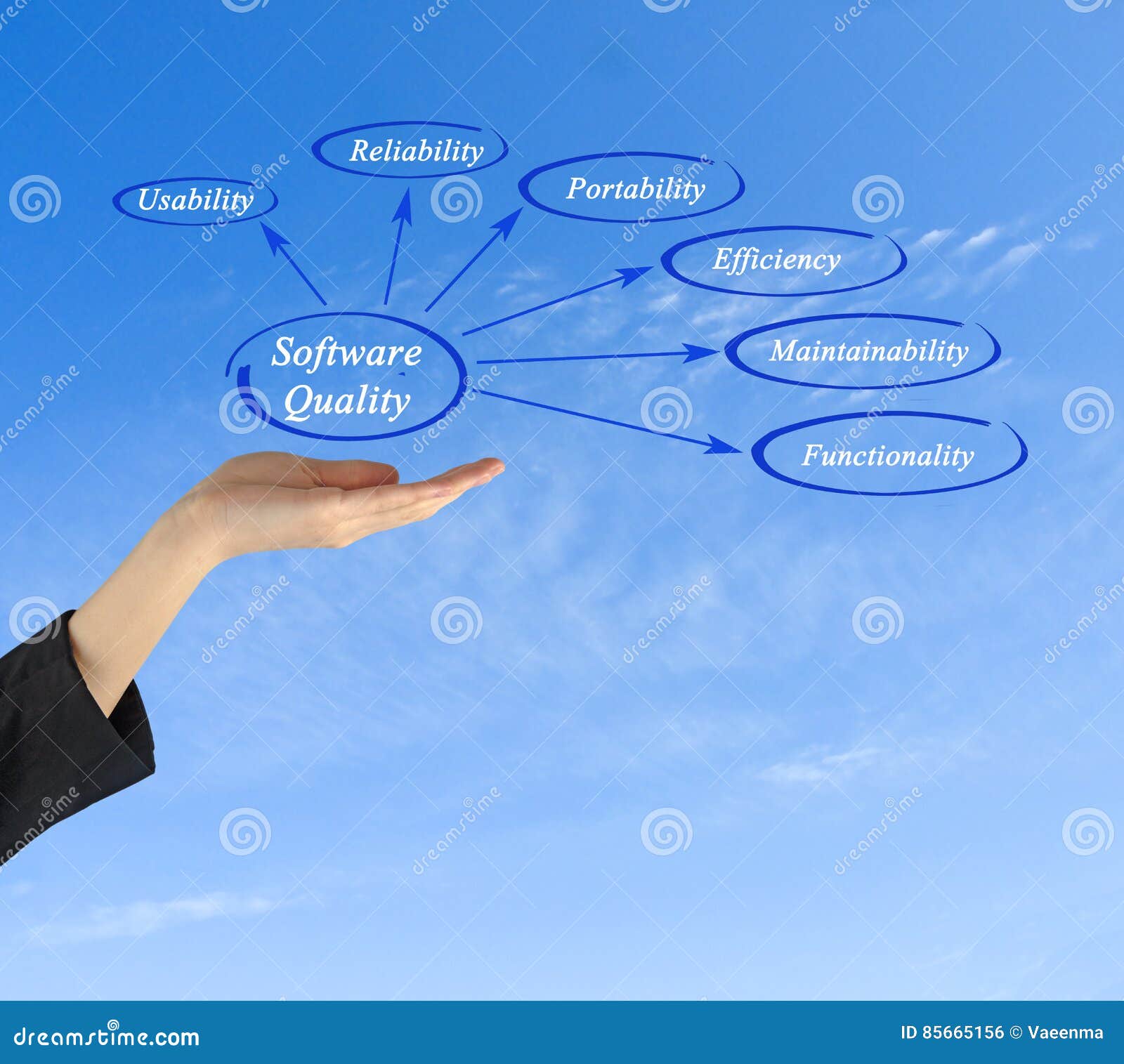 Diagrama De La Calidad De Software Foto de archivo - Imagen de persona ...