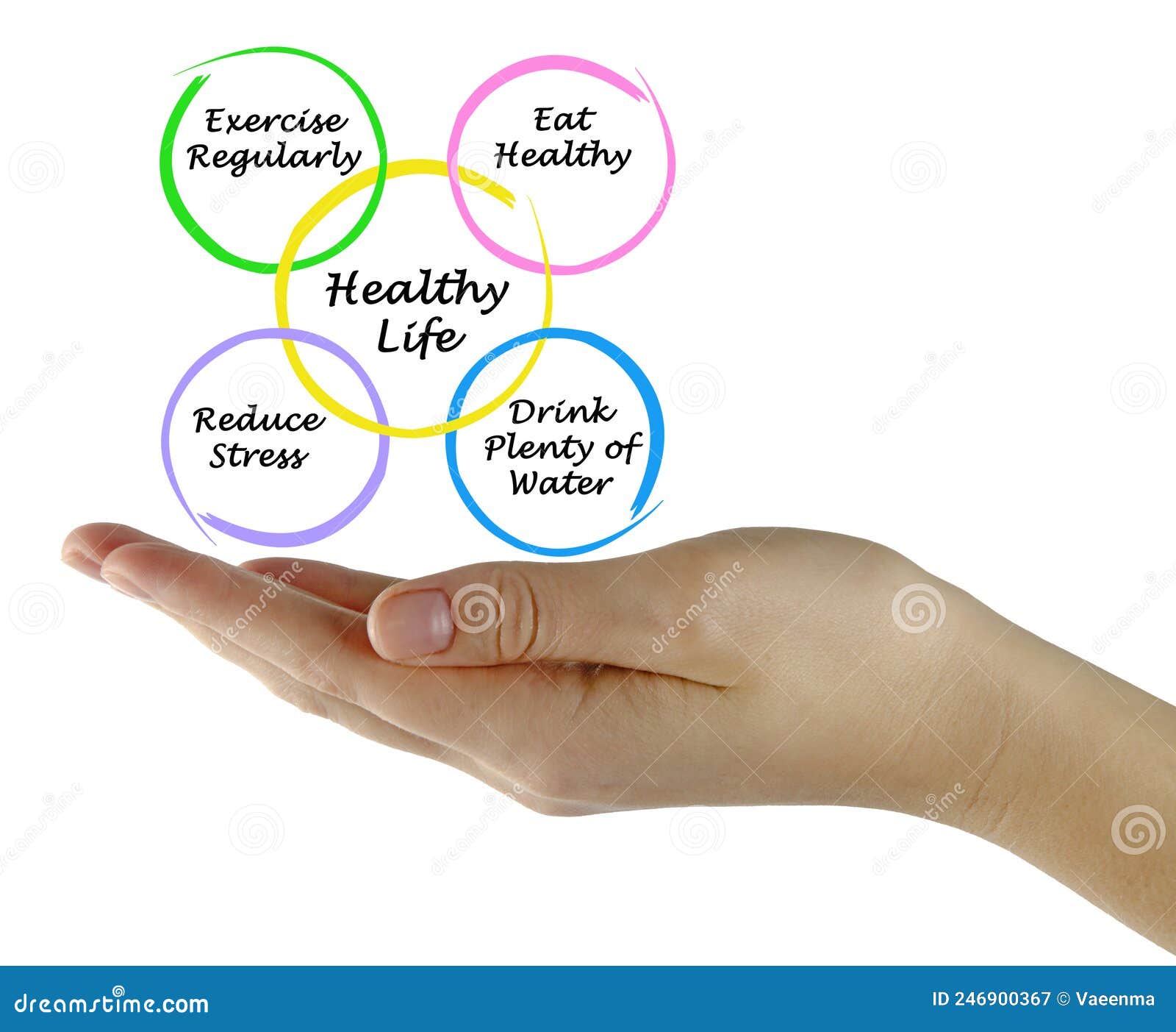 Diagrama de vida saludable imagen de archivo. Imagen de sano - 246900367