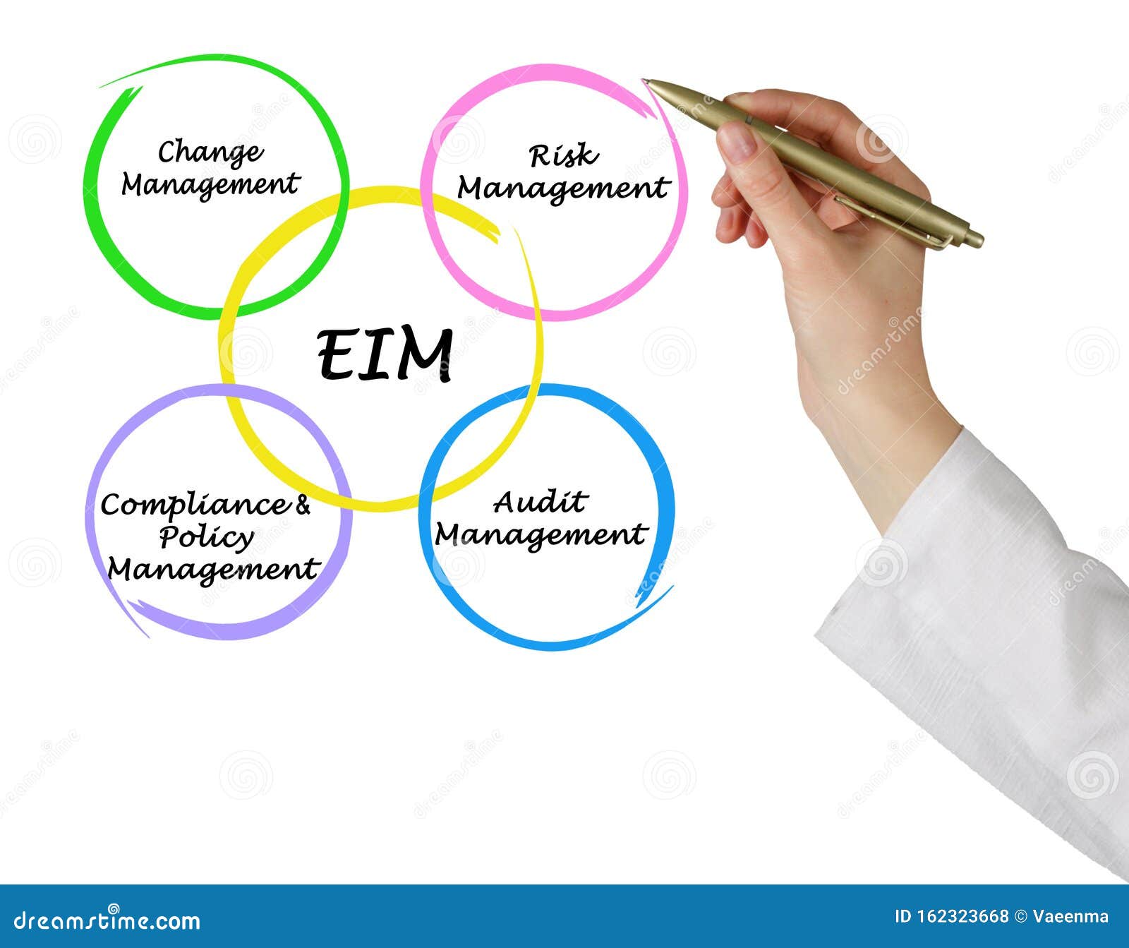 Diagrama del EIM foto de archivo. Imagen de diagrama - 162323668