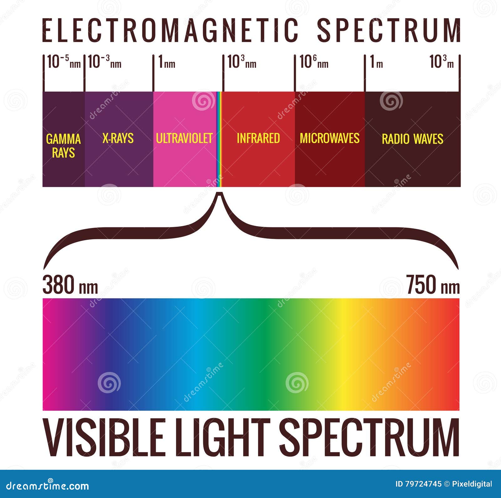 Diagrama Do Espectro Da Luz Visível Ilustração Stock - Ilustração de ...