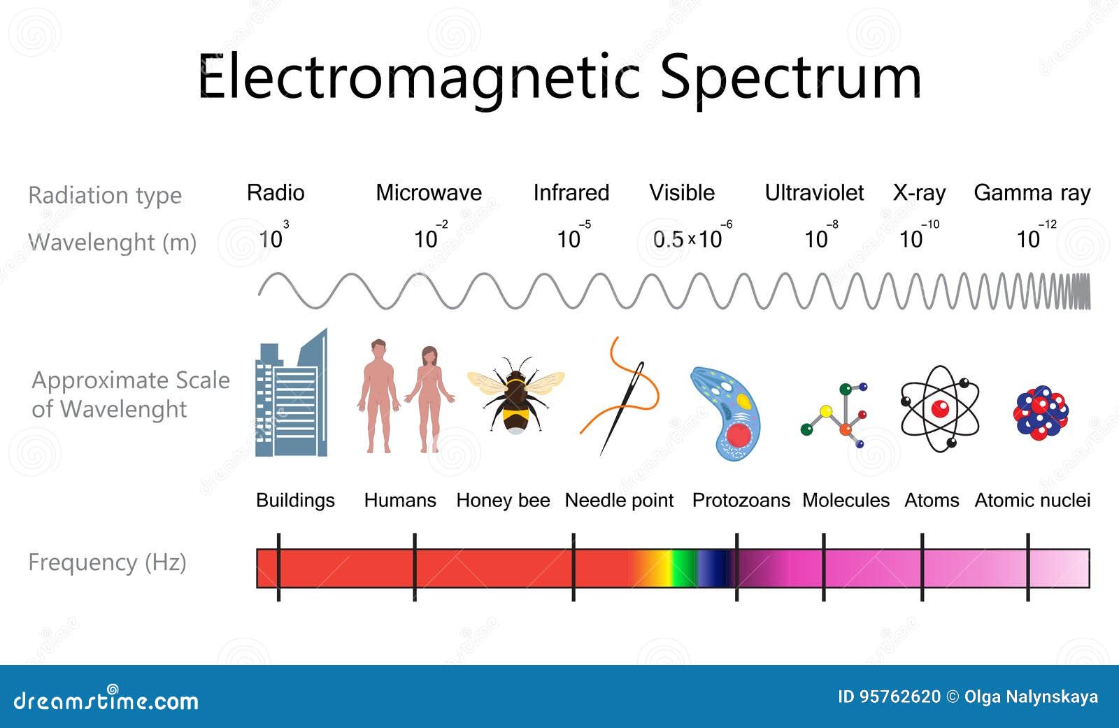 Diagrama Do Espectro Eletromagnético Ilustração do Vetor - Ilustração ...