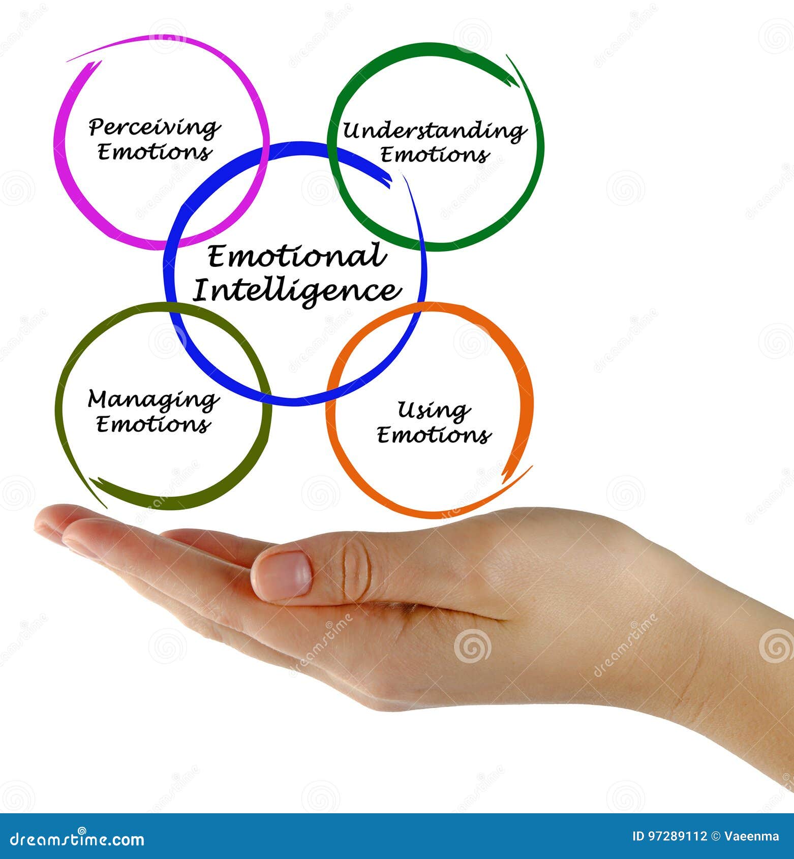Diagramm Der Emotionalen Intelligenz Stockfoto - Bild von verstand ...