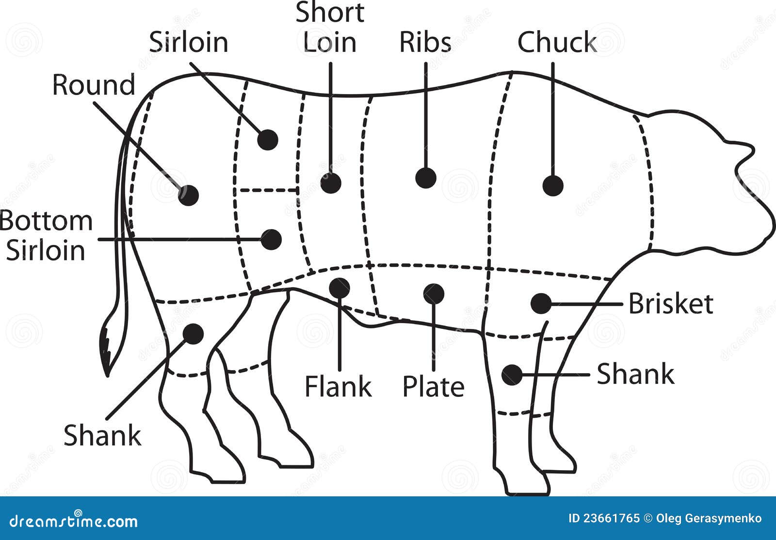 Diagramma del manzo illustrazione vettoriale. Illustrazione di rotondo ...