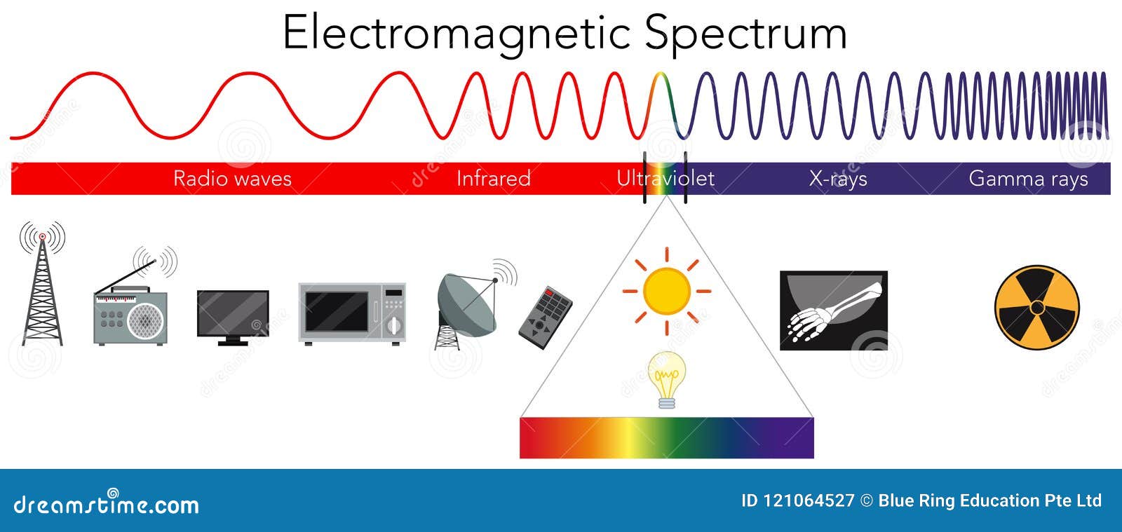 Diagramma Di Spettro Elettromagnetico Di Scienza Illustrazione ...