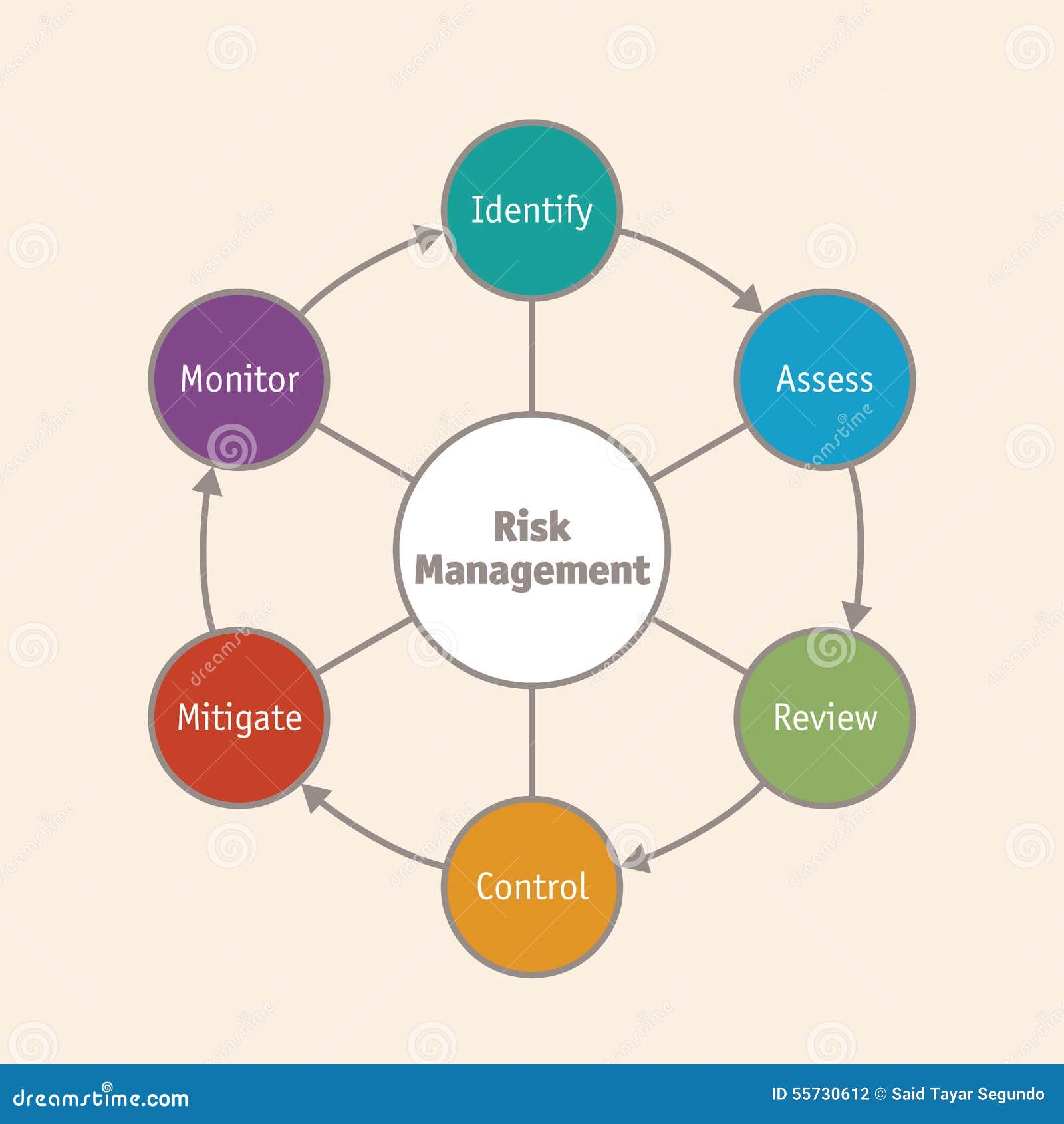 Diagramme D'affaires De Gestion Des Risques Illustration de Vecteur ...