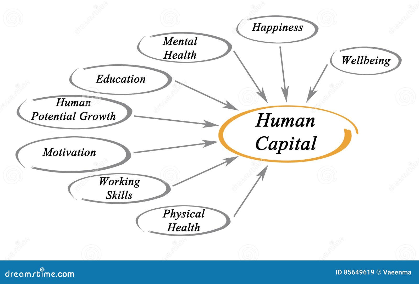 Diagramme De Capital Humain Illustration Stock - Illustration du humain ...