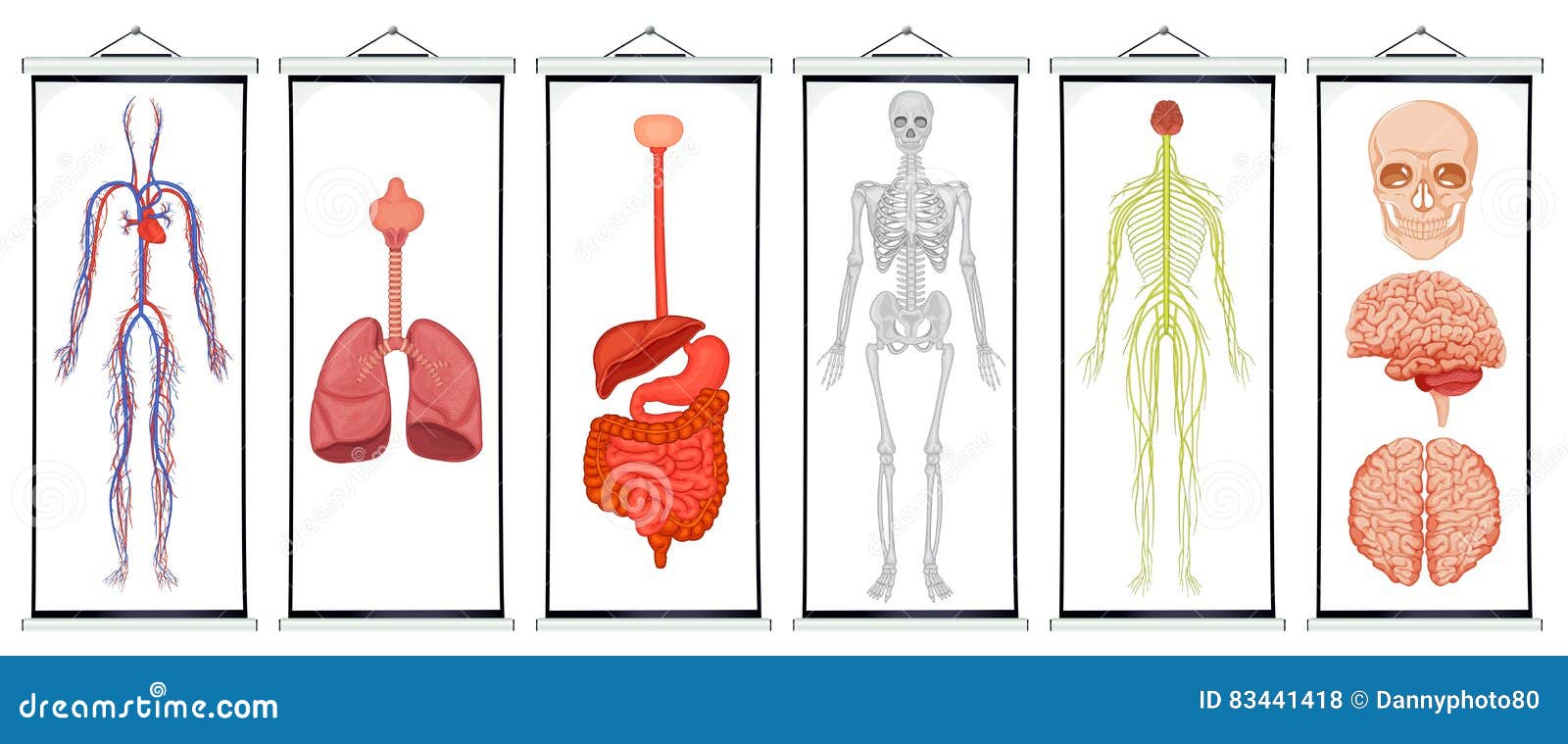 Human Systems Badges Vector Illustration | CartoonDealer.com #28524676