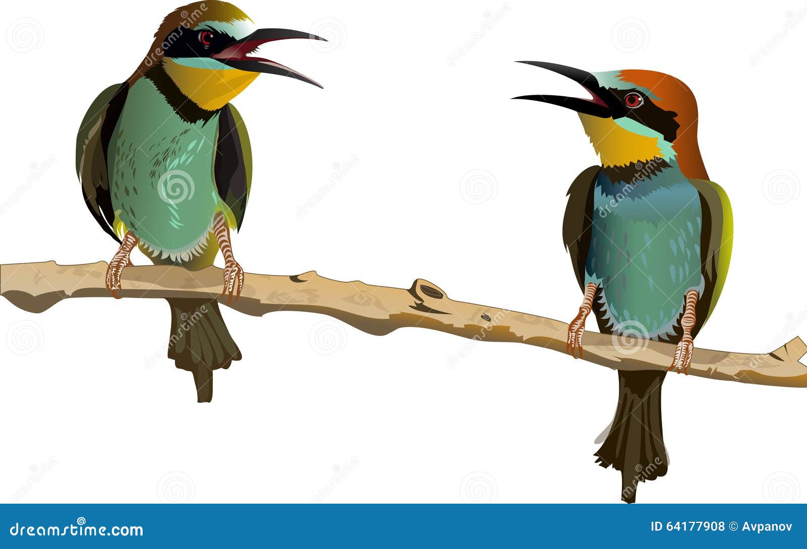Dialogue of two birds stock vector. Illustration of beak - 64177908