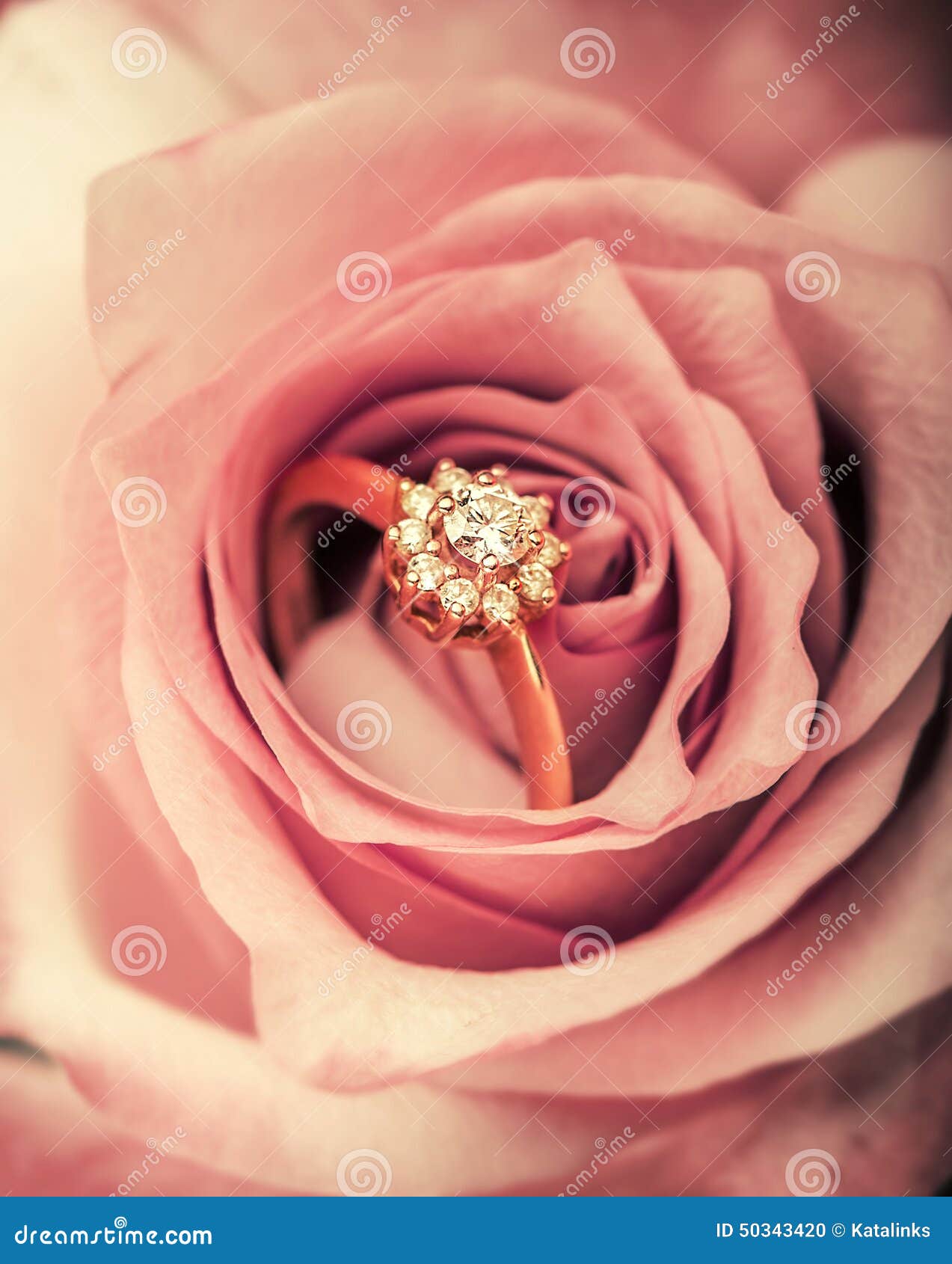 Diamond Engagement Ring in Rose Flower Stock Photo - Image of ...
