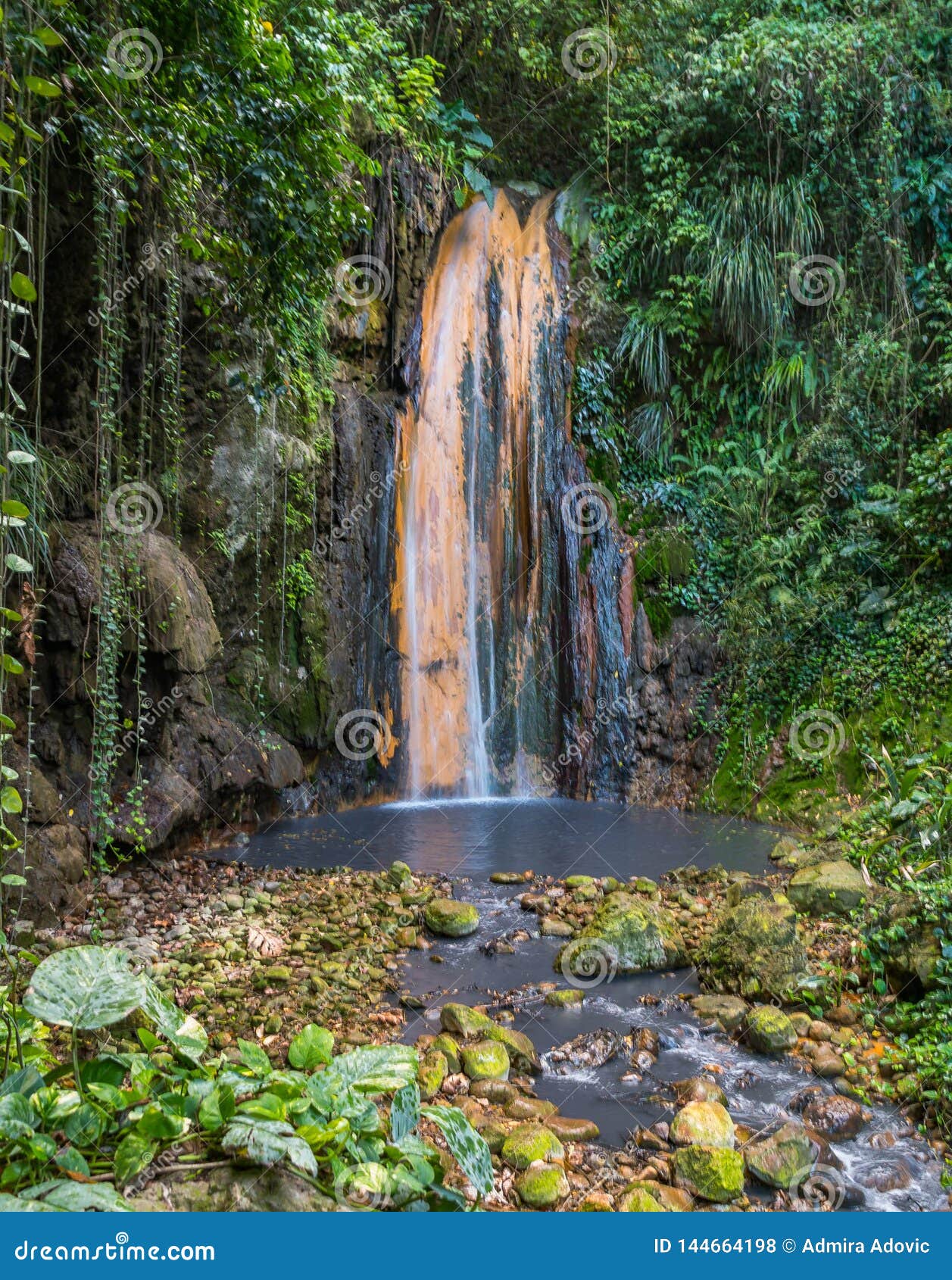 Diamond Falls Botanical Gardens Foto de archivo editorial - Imagen de ...
