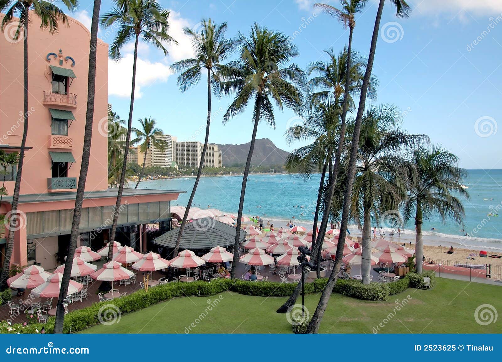 Diamond Head through Palm Trees Stock Image - Image of hotel, vacation ...