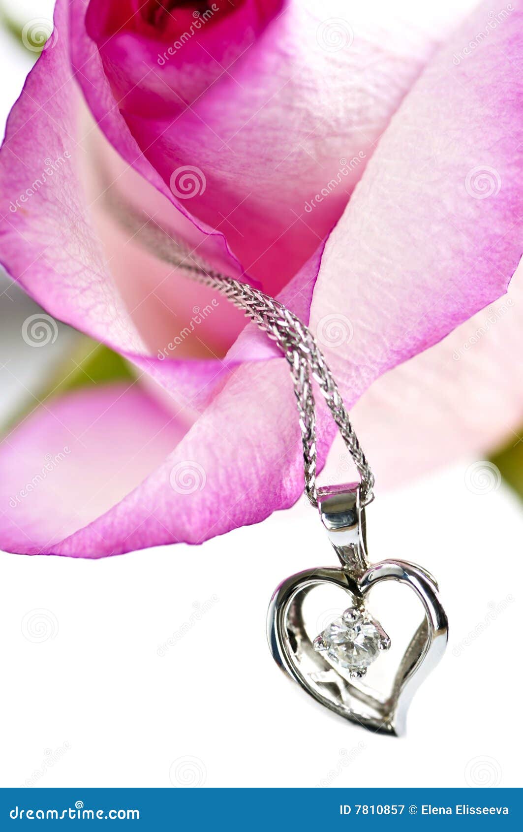 Diamond necklace on rose stock image. Image of gold, karat - 7810857
