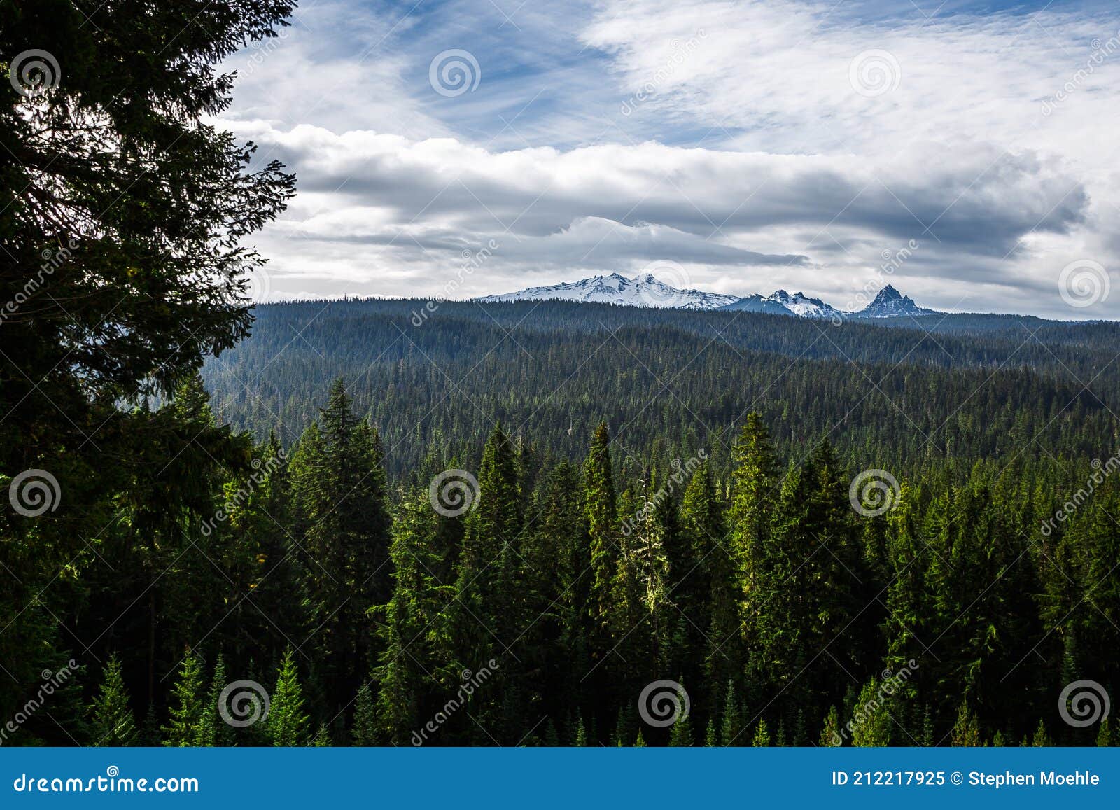 Diamond Peak Forest Landscape, Oregon Stock Image - Image of forest ...