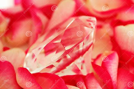 Diamond on petals stock image. Image of cristal, brilliant - 1166671