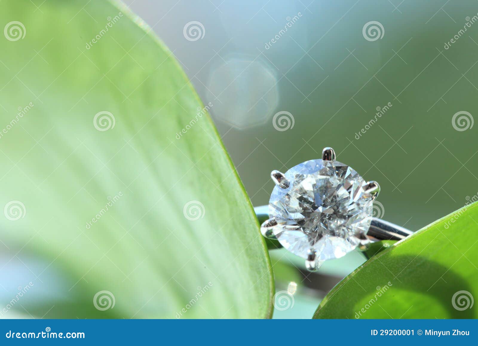Diamond ring stock image. Image of stylish, leaf, brilliant - 29200001