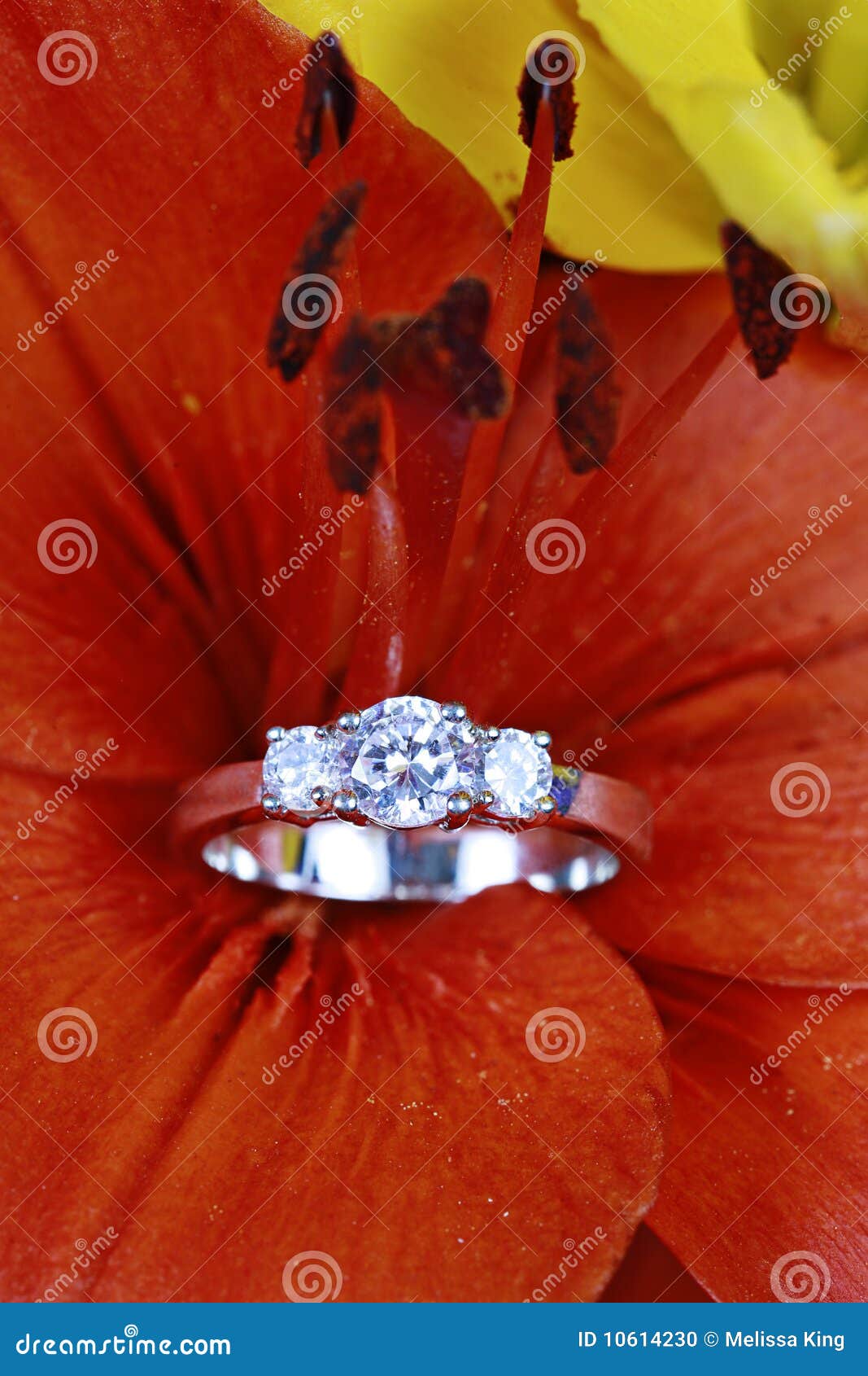 Triple Gems Photos - Free & Royalty-Free Stock Photos from Dreamstime