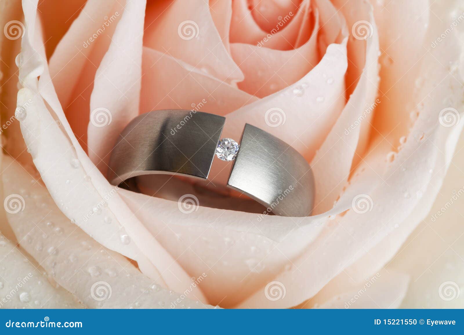 Diamond Ring Inside Apricot Colored Rose Blossom Stock Photo - Image of ...
