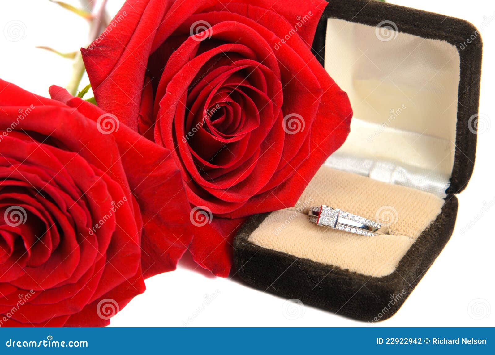 Diamond Ring Next To Two Red Roses Stock Photo - Image of engagement ...
