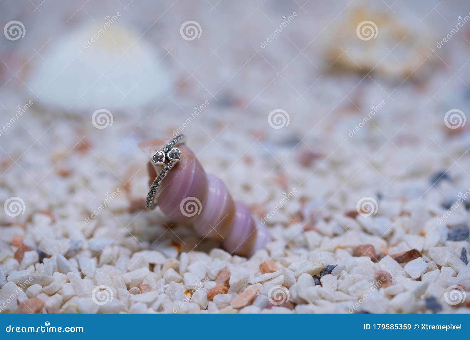 A Diamond Ring Presented on a Sea Shell Stock Image - Image of ocean ...