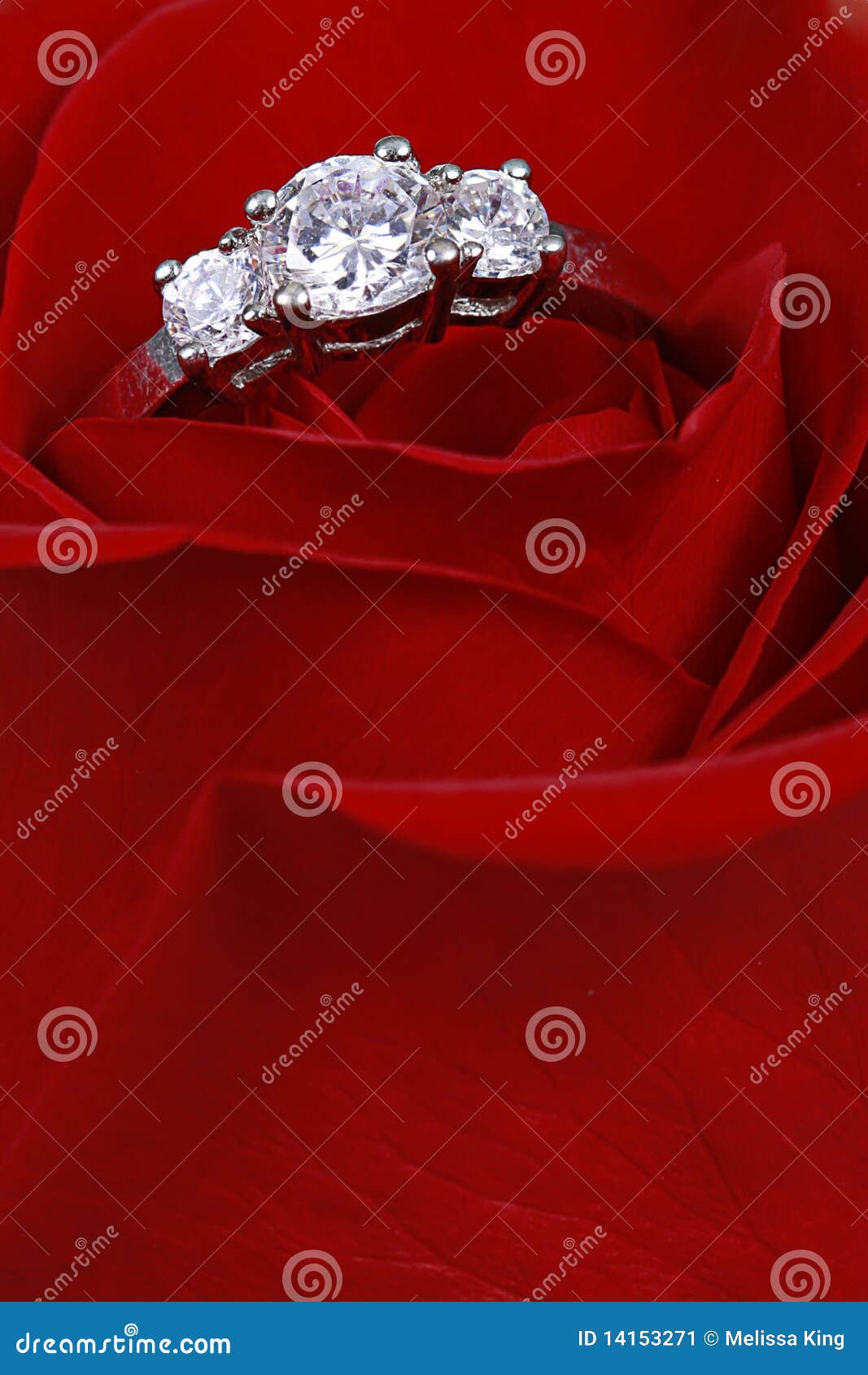 161 Embedded Ring Photos - Free & Royalty-Free Stock Photos from Dreamstime