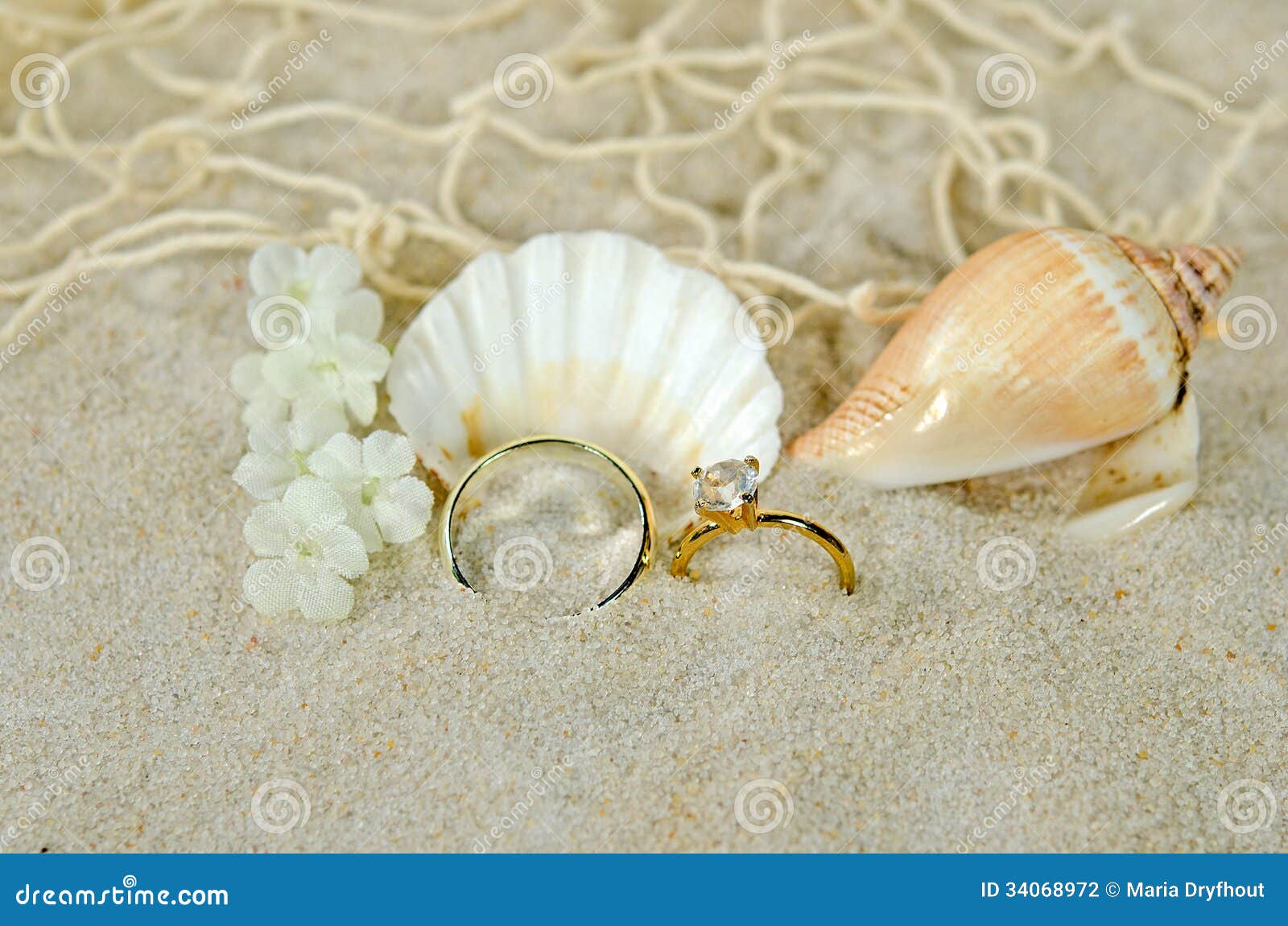 Diamond ring and seashells stock photo. Image of jewel - 34068972