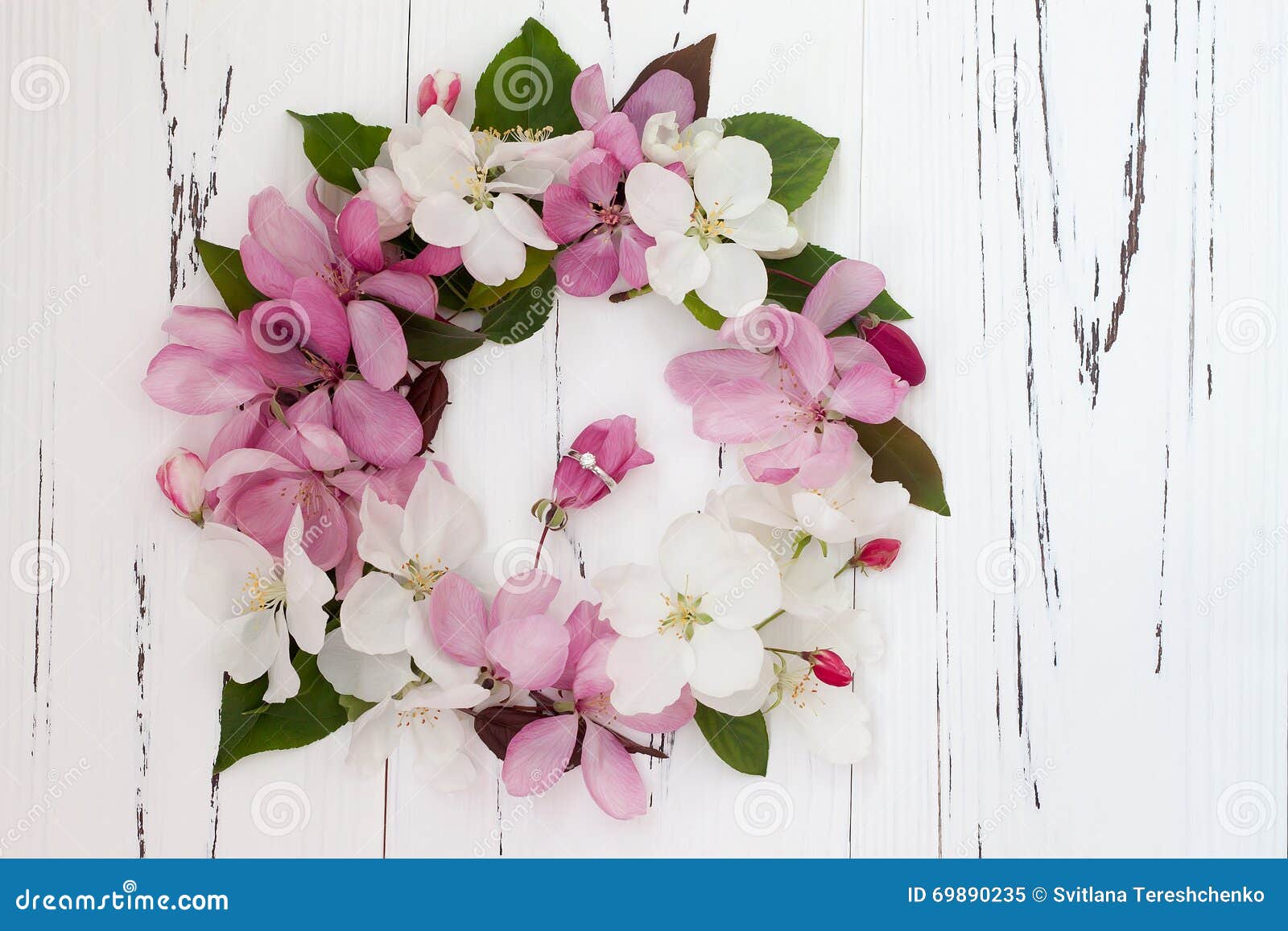 Diamond Ring with Spring Apple Tree Blossoms on White Old Wooden ...
