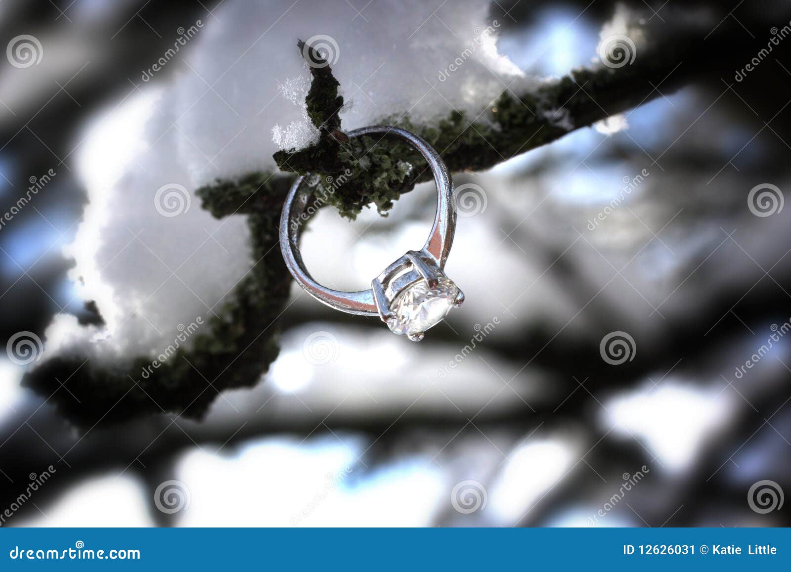 Diamond Ring in Winter Scene Stock Image - Image of twig, ring: 12626031