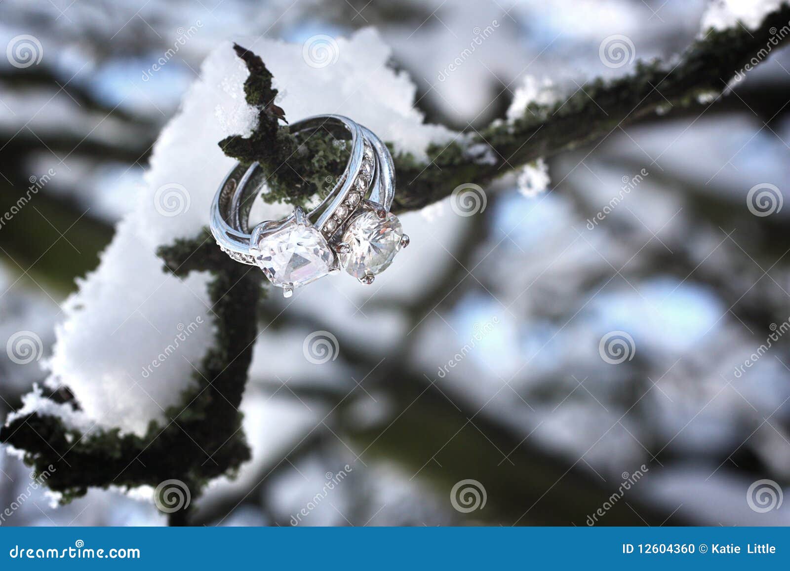 Diamond Rings in Winter Scene Stock Photo - Image of winter, engagement ...