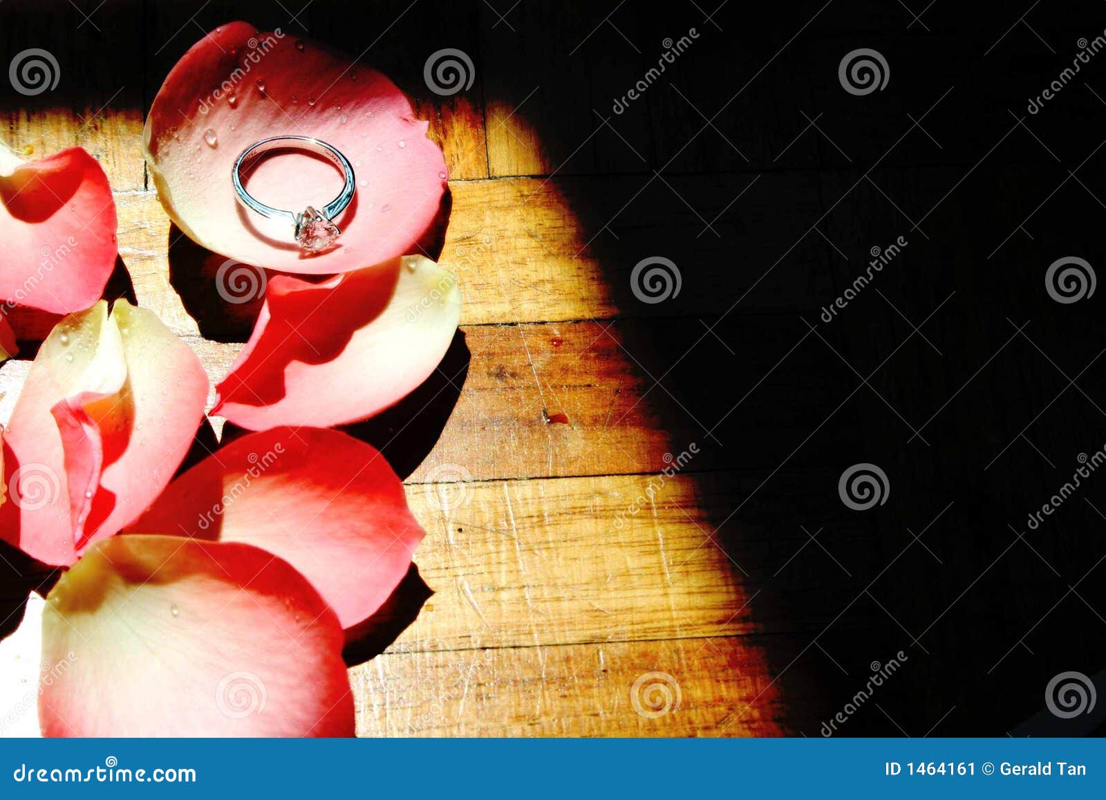 Royalty Free Images, Cartoons, Illustrations And Photos Designed By ...