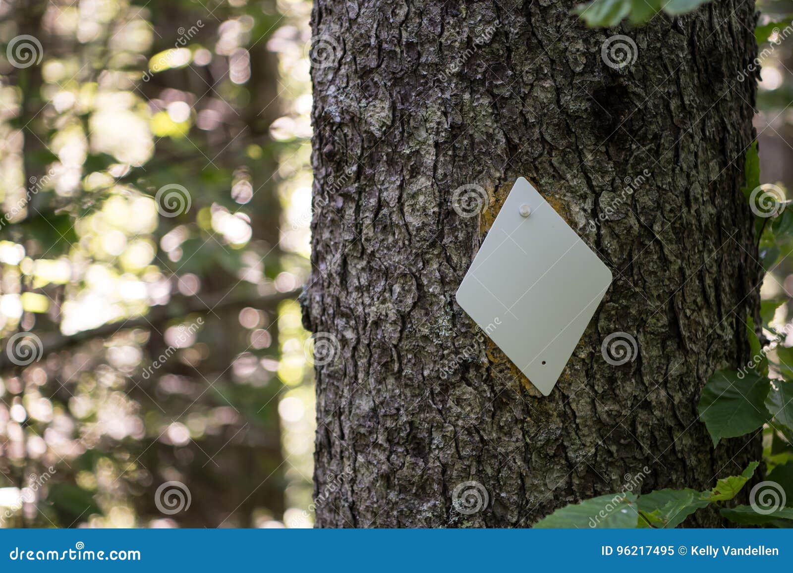 Diamond Trail Blaze on Tree Stock Image - Image of landscape, tree ...