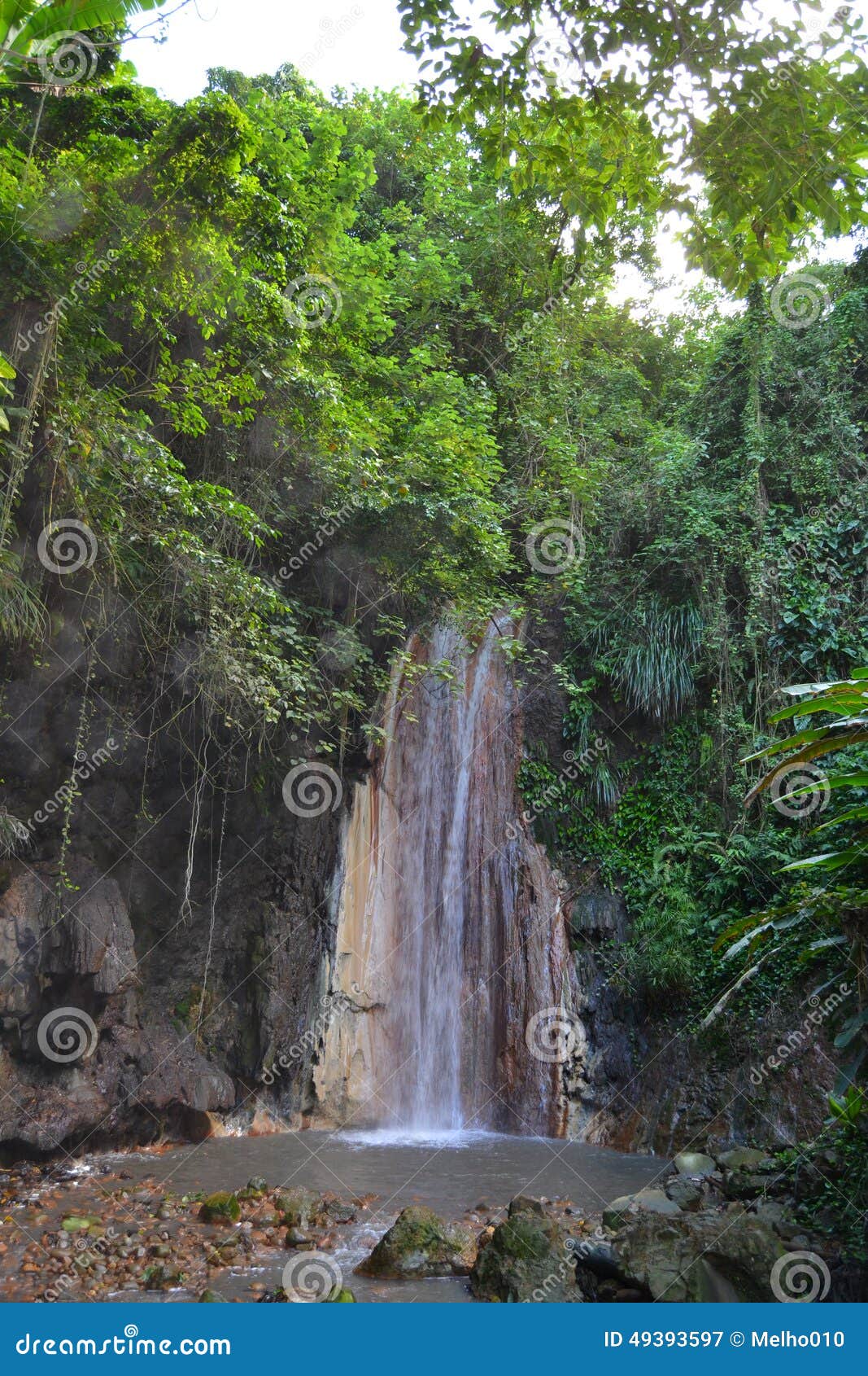 Diamond Waterfall stock image. Image of soufriere, hike - 49393597