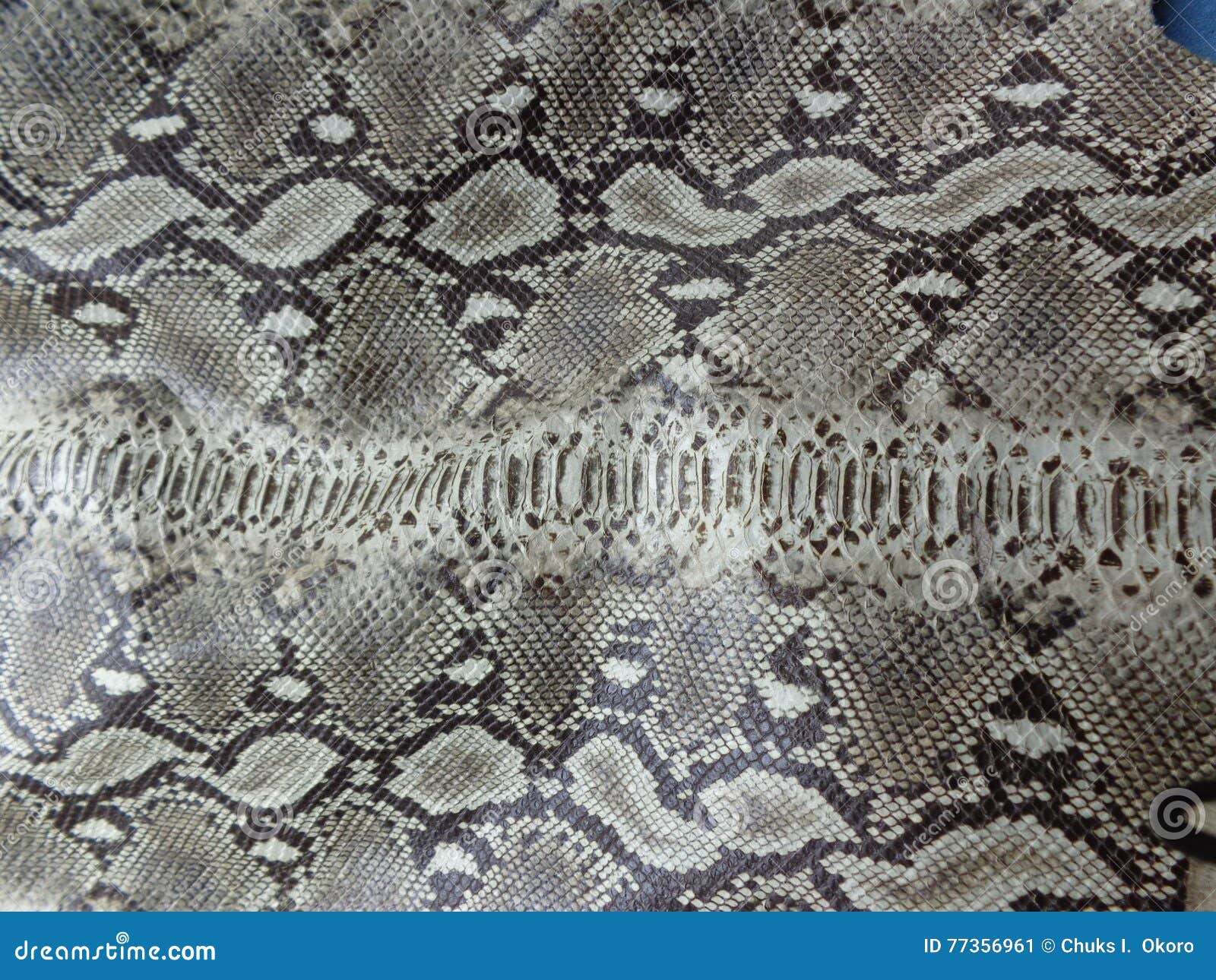 Diamondblack Rattlesnake Skin Pattern. Stock Image - Image of wallpaper ...