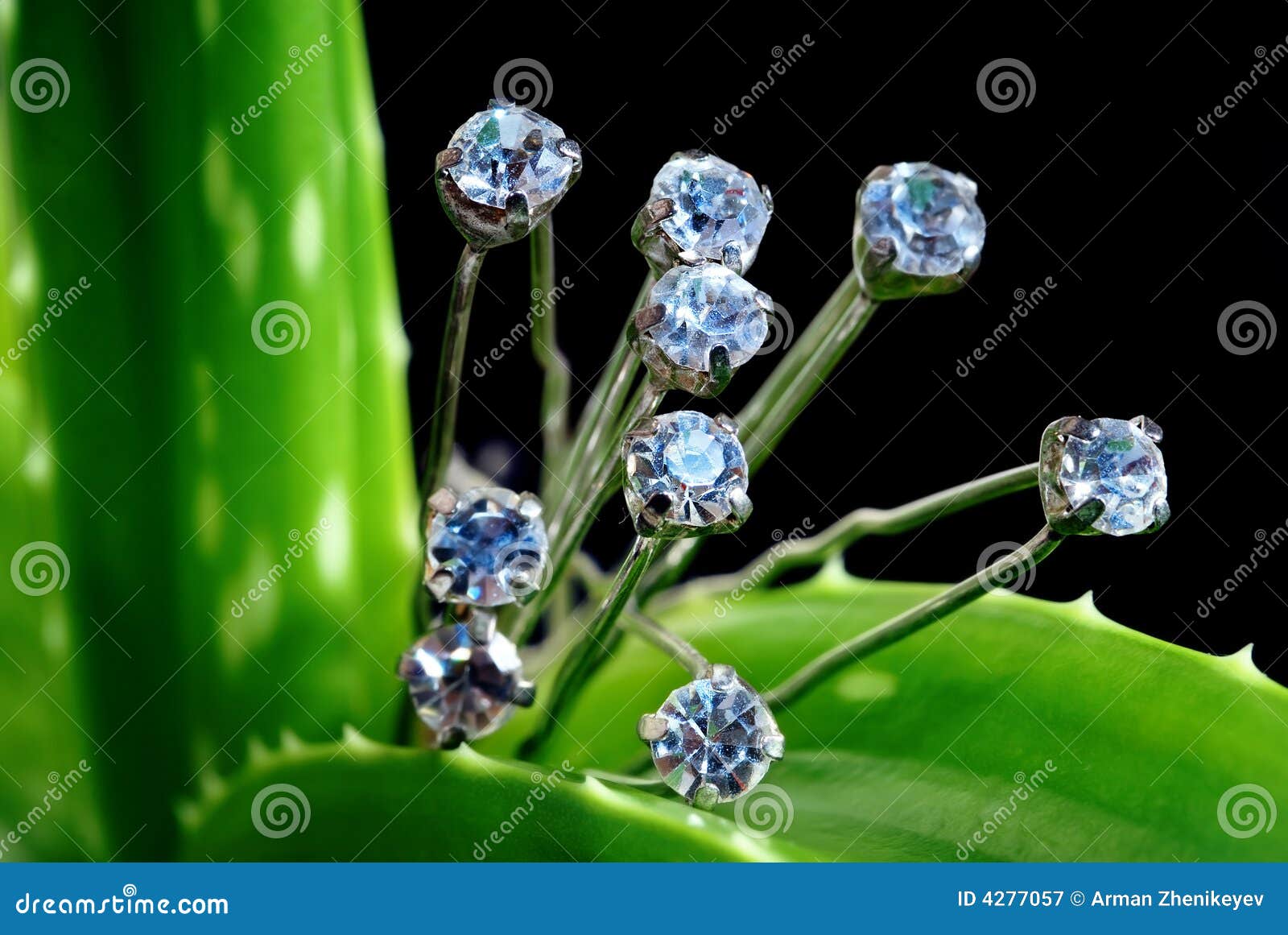 Diamonds on greenery stock image. Image of luxuriant, creative - 4277057
