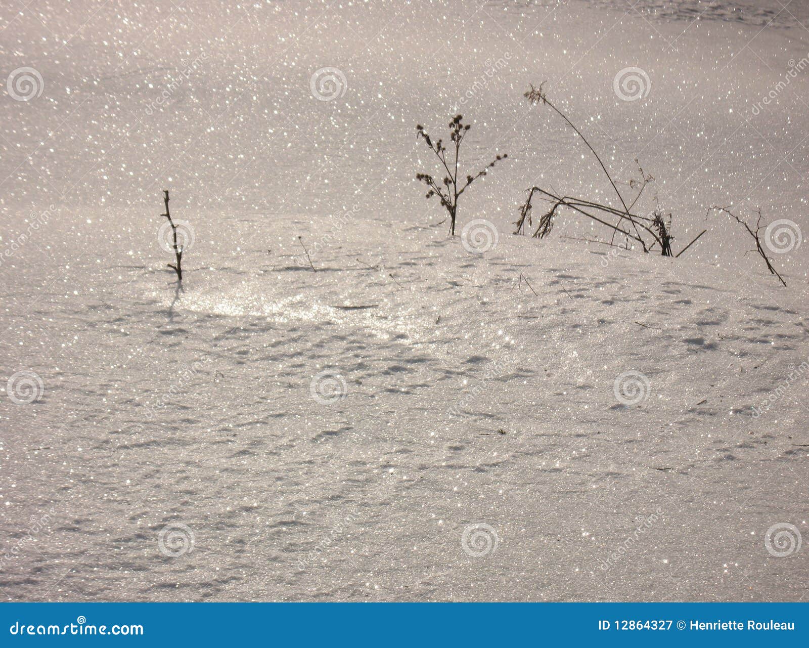 Diamonds on snow stock image. Image of seasonal, sparkling - 12864327